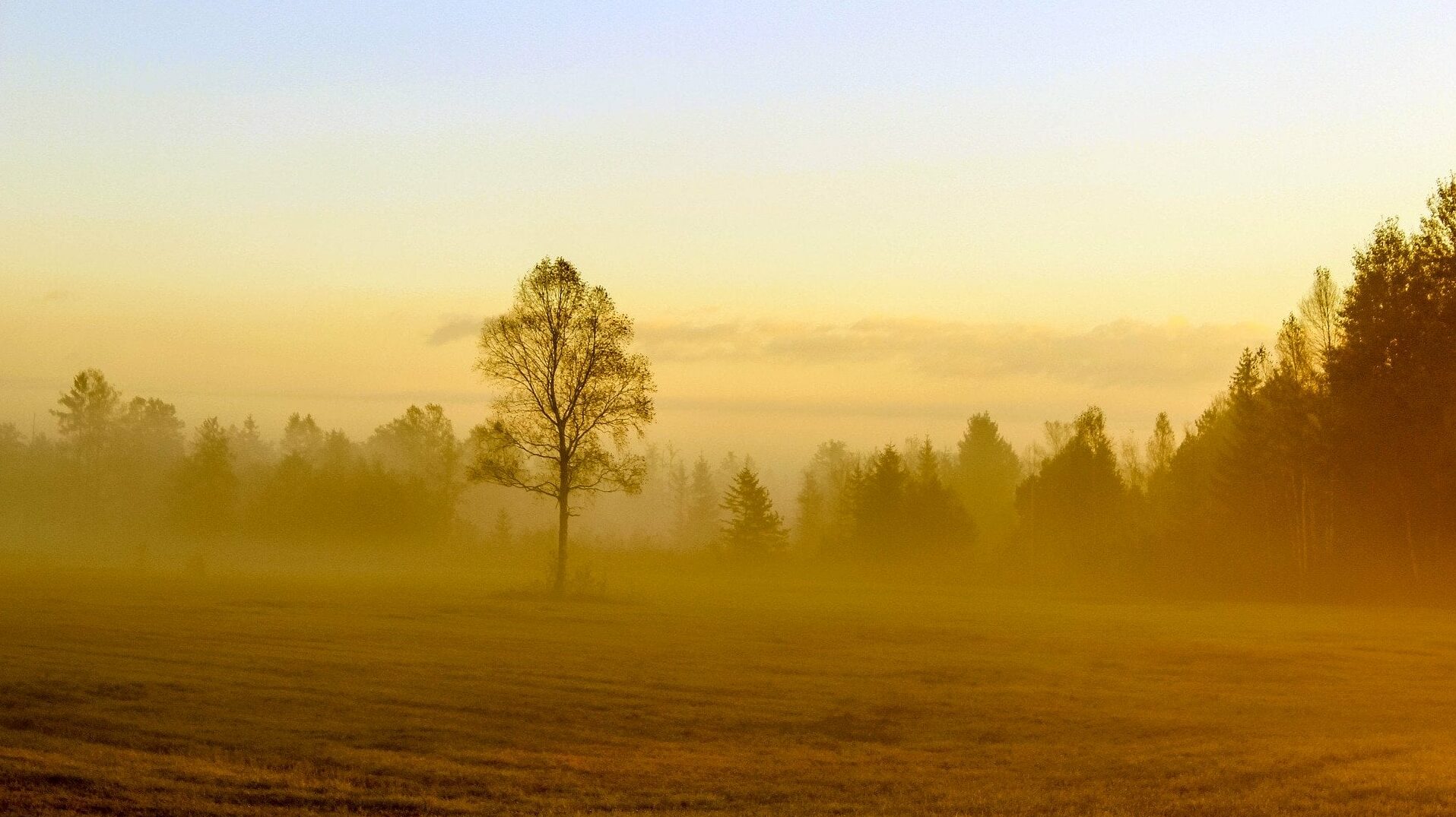 Prognose für die Wintermonate 2021 | Folkhild Hoops